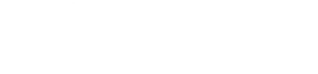 Visibull - Internet marketing service in Las Vegas